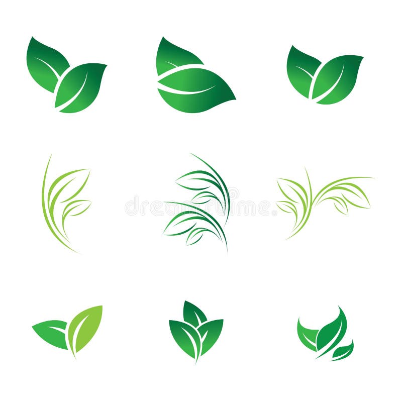 Leaf stock vector. Illustration of icon, health, ecology - 211668540