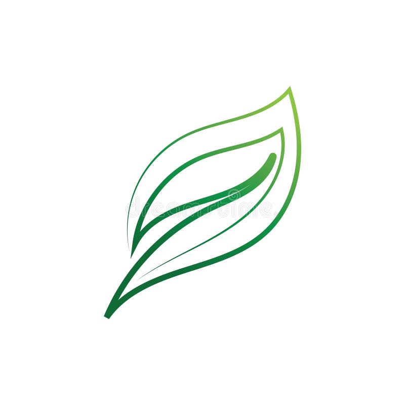 Leaf Green Nature Logo and Symbol Vector Stock Vector - Illustration of ...