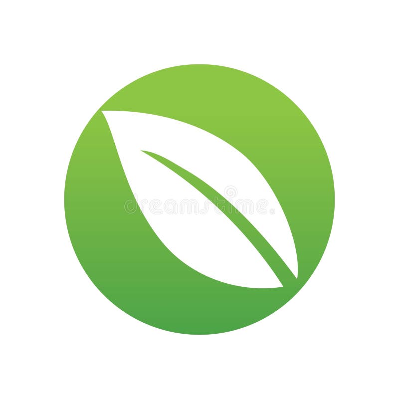 Leaf Green Nature Logo and Symbol Vector Stock Vector - Illustration of ...