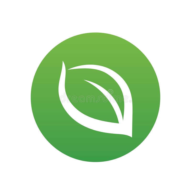 Leaf Green Nature Logo and Symbol Vector Stock Vector - Illustration of ...