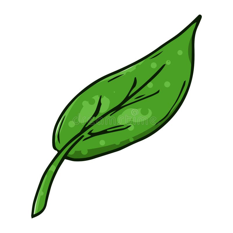 Leaf Hand Drawn. Vector of Spring Leaf Stock Vector - Illustration of ...
