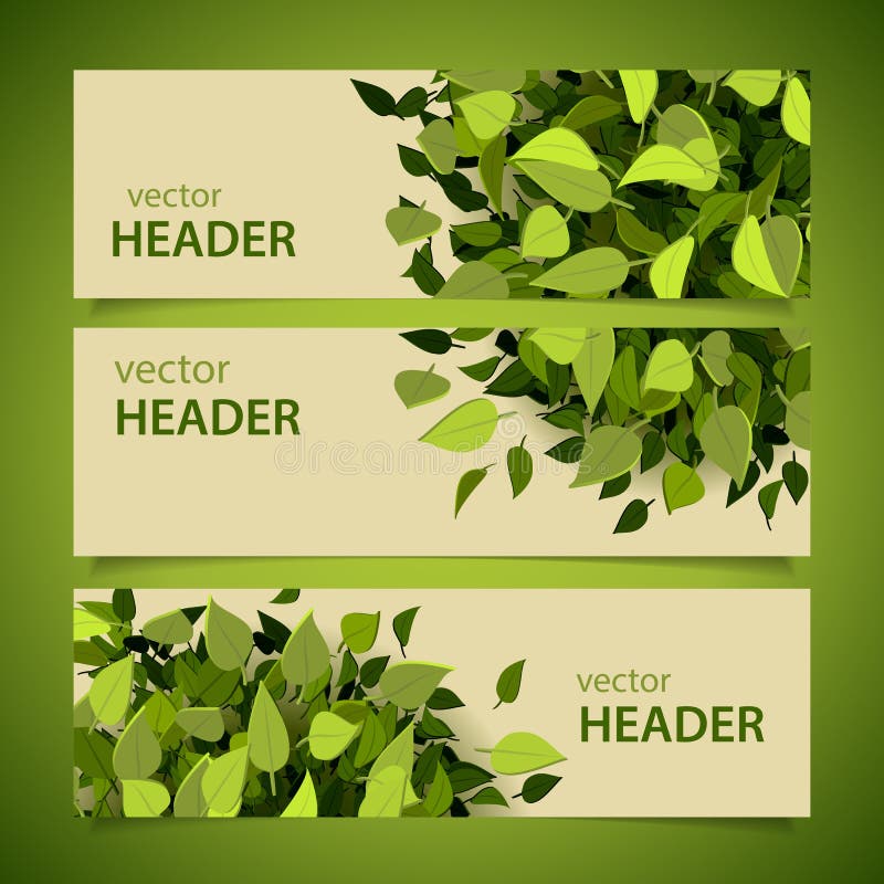 Leaf headers set stock vector. Illustration of brochure - 68347216