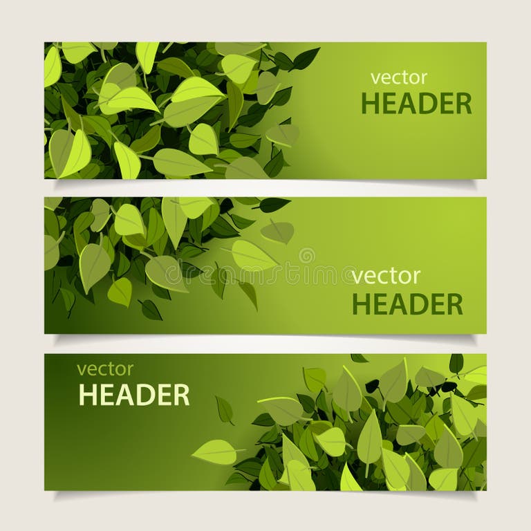 Leaf headers set stock vector. Illustration of brochure - 68347216
