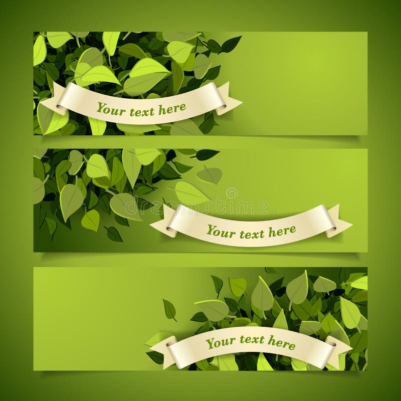 Leaf headers set stock vector. Illustration of banner - 68347218