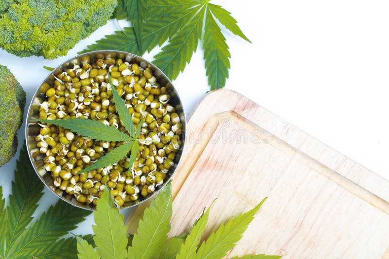 Leaf Hemp for Salad Mung Bean Sprouts Broccoli Stock Photo - Image of ...