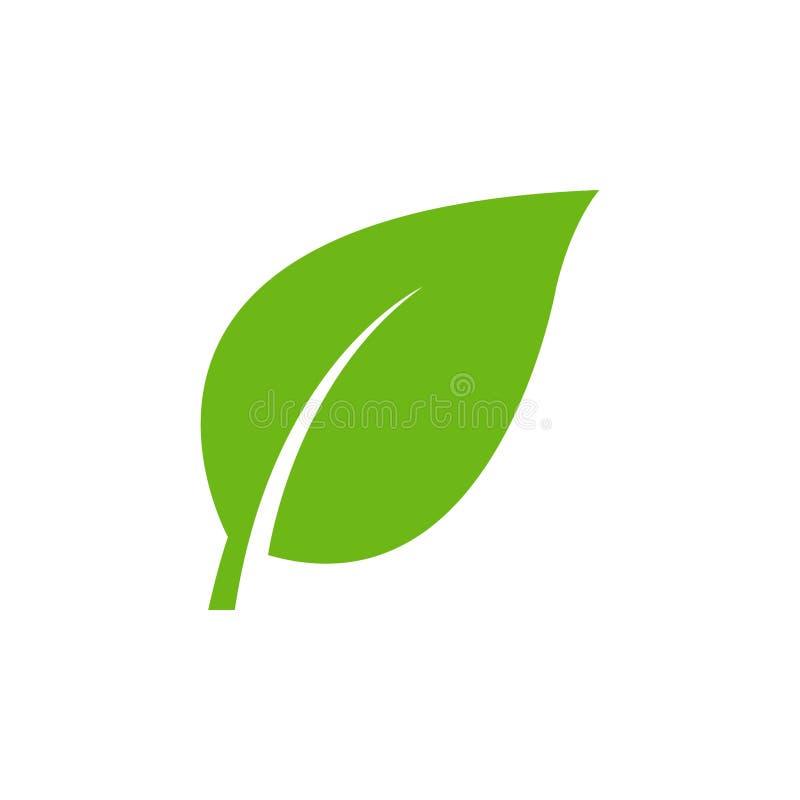 Green Leaf Icon Vector Illustration Stock Vector - Illustration of ...