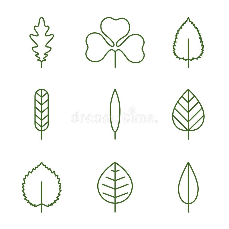 Leaf icon stock vector. Illustration of symbol, ecology - 50294164