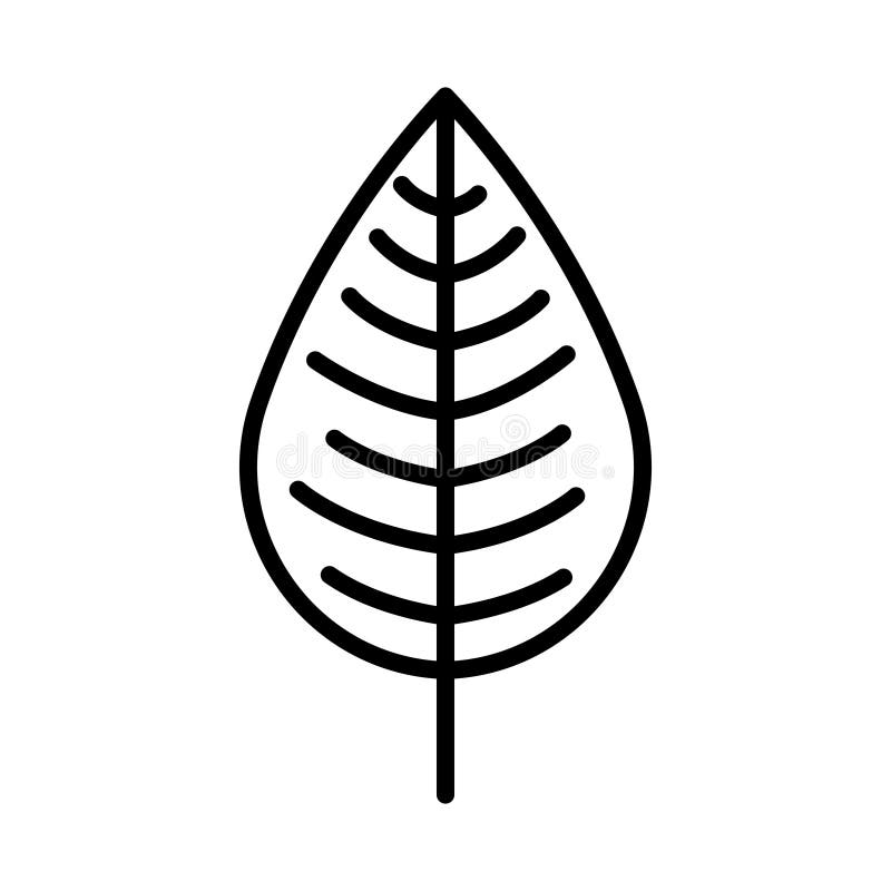 Leaf Icon Outline Style stock illustration. Illustration of minimal ...