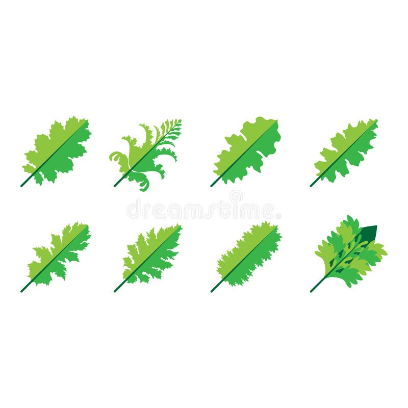 Leaf icon set stock vector. Illustration of collection - 258667845