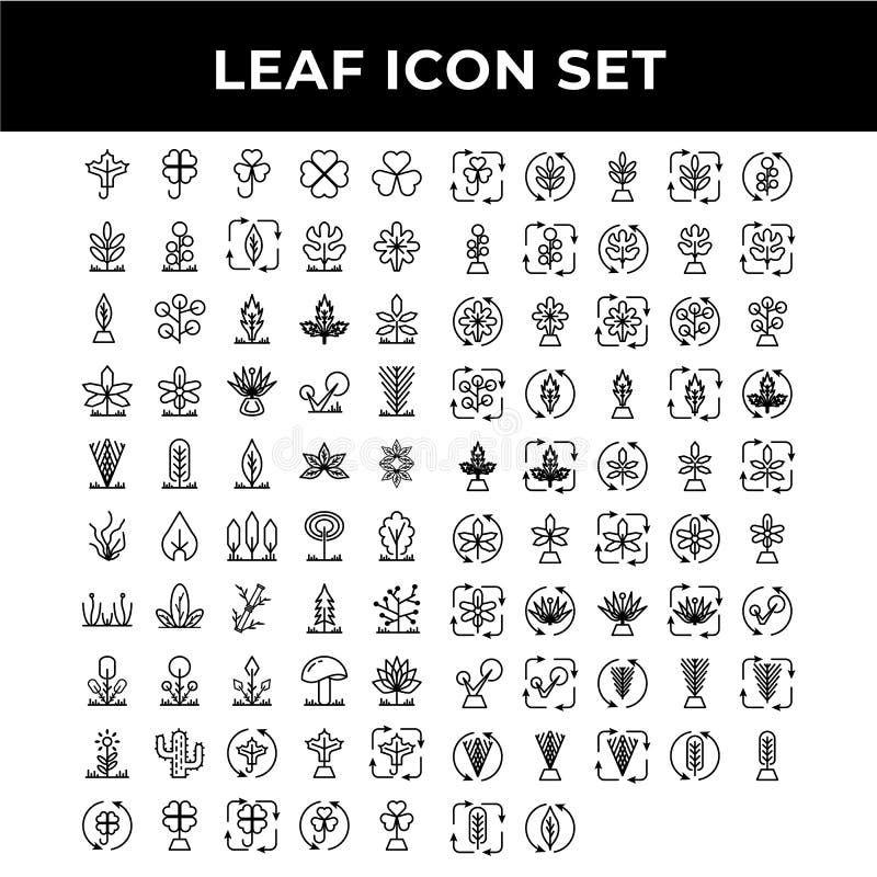 Leaf Icon Set Include Leaf Vector Stock Vector - Illustration of flora ...