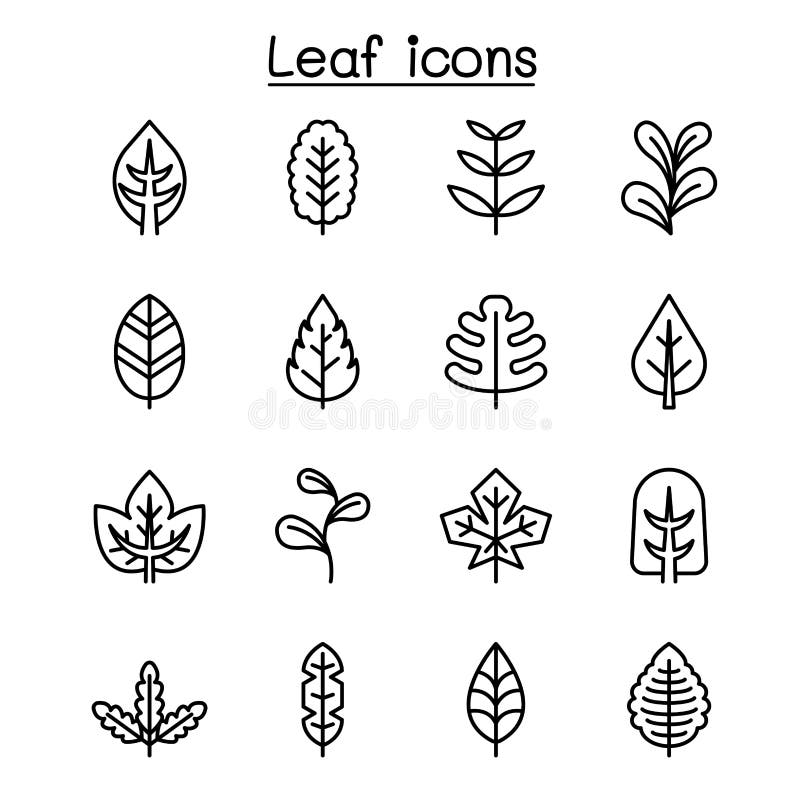 Leaf Icon Set in Thin Line Style Stock Vector - Illustration of element ...