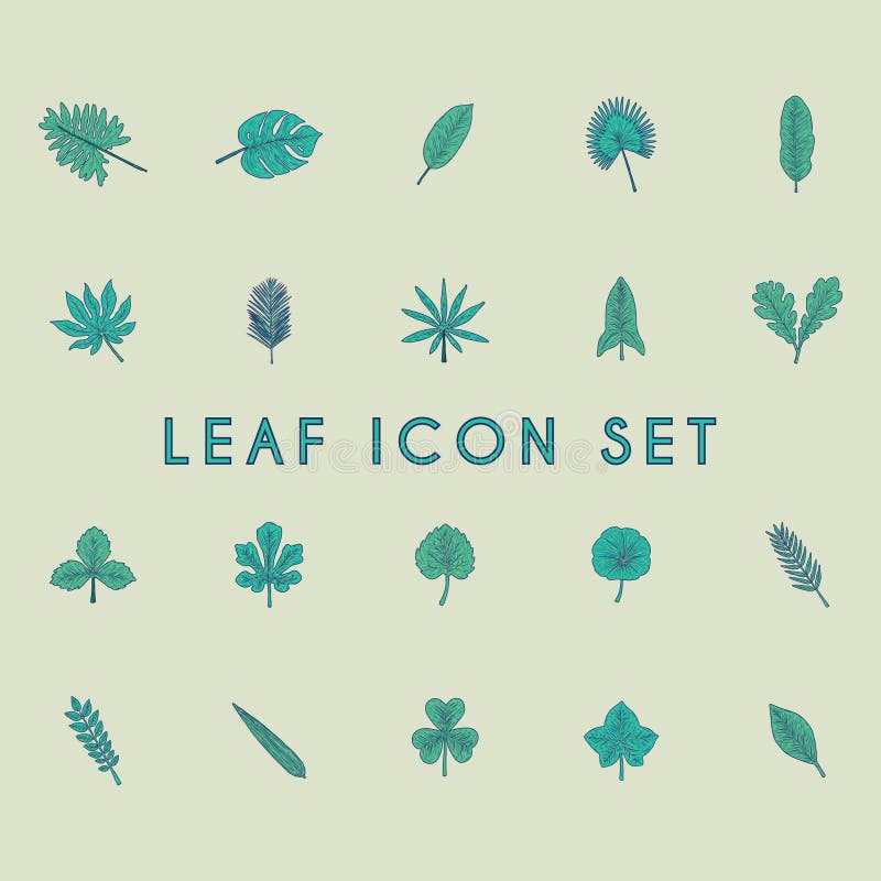 Leaf Icon Set. Vector Illustration Decorative Design Stock Vector ...