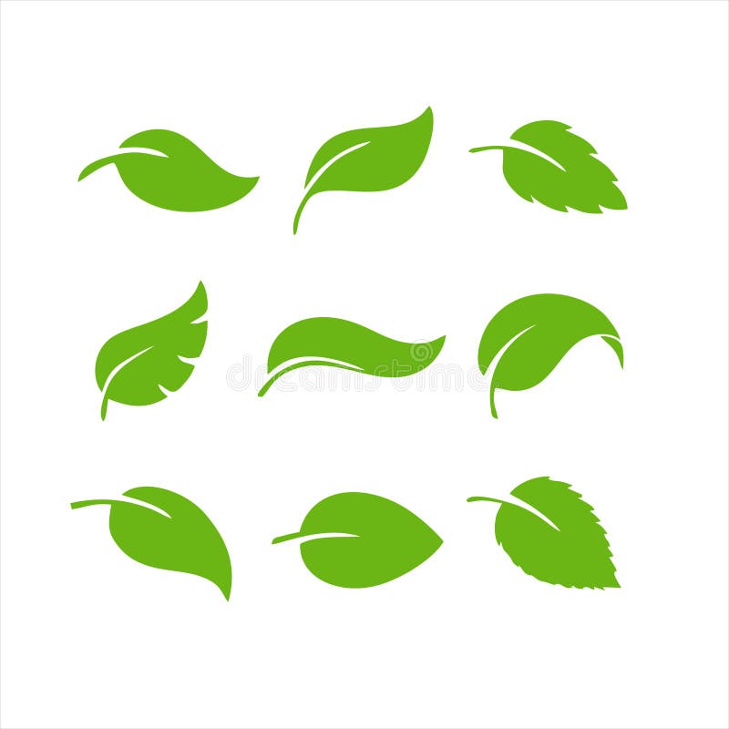 Leaf Icon, Leaf Icon EPS10, Leaf Icon Vector, Leaf Icon Eps, Leaf Icon ...