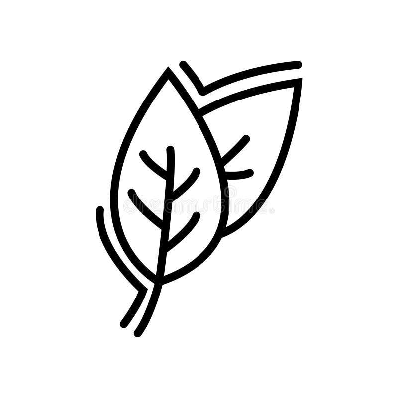 Leaf Icon Vector Isolated on White Background, Leaf Sign , Line or ...