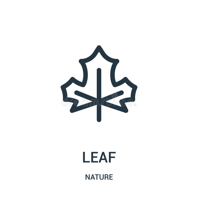 Leaf Icon Vector from Nature Collection. Thin Line Leaf Outline Icon ...