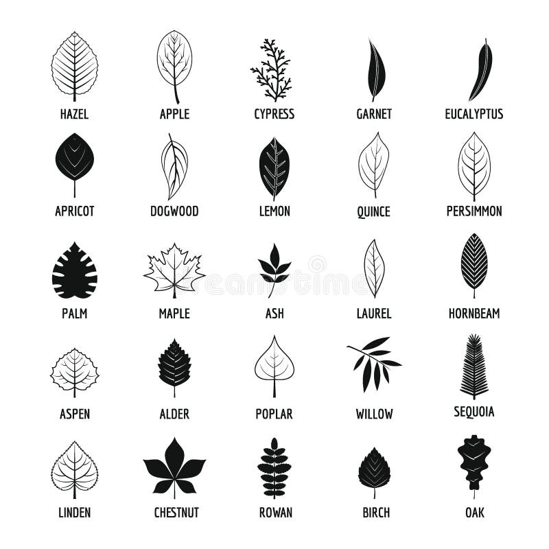 Leaf Icons Set, Simple Style Stock Illustration - Illustration of hazel ...