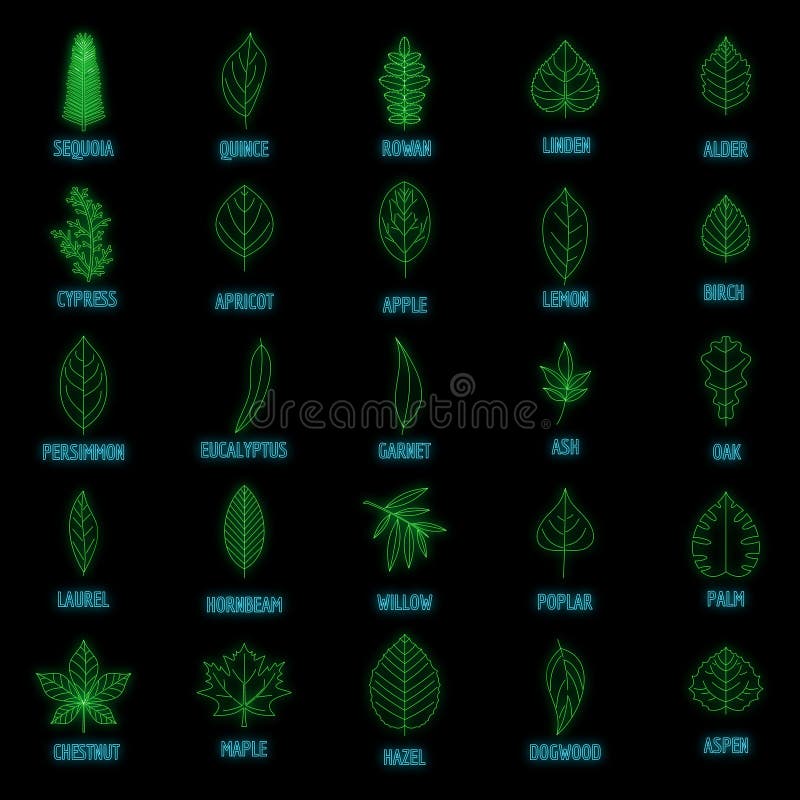 Leaf icons set vector neon stock vector. Illustration of apple - 293664134