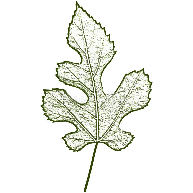 Leaf Imprint, Sheet Printing Stock Vector - Illustration of phenomenon ...