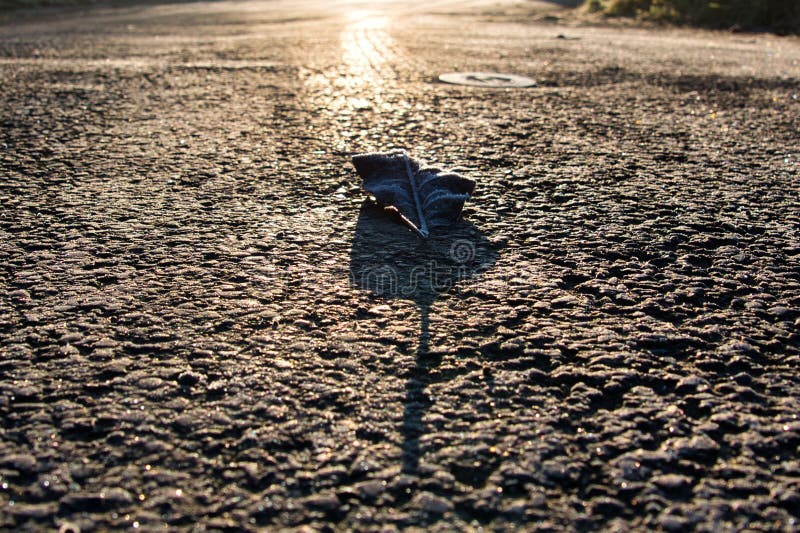 Leaf and Its Big Shadow on the Road Stock Photo - Image of leaf, autumn ...
