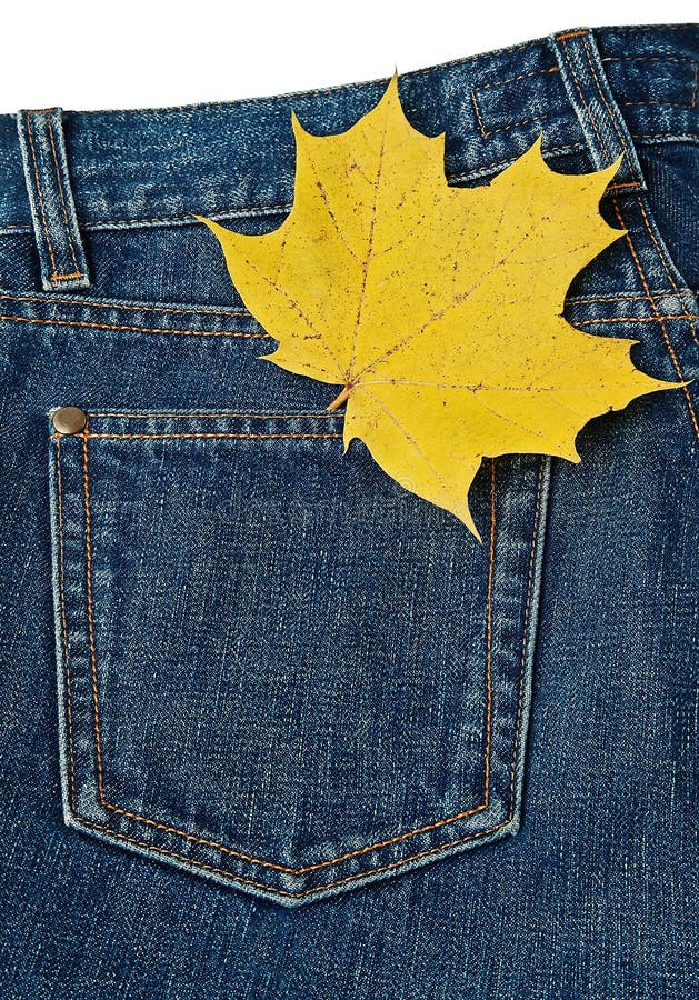 Leaf and jeans stock image. Image of cloth, design, close - 16850431