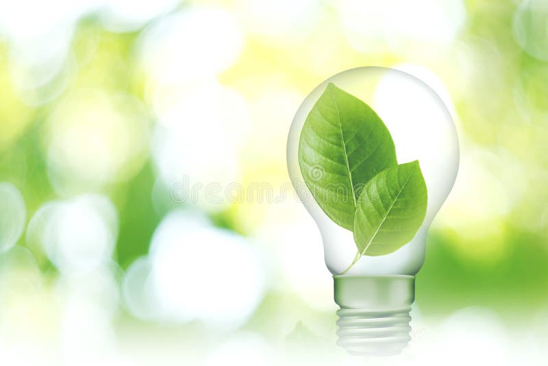 Leaf in Lamp 01 stock photo. Image of power, leaf, growth - 116095906