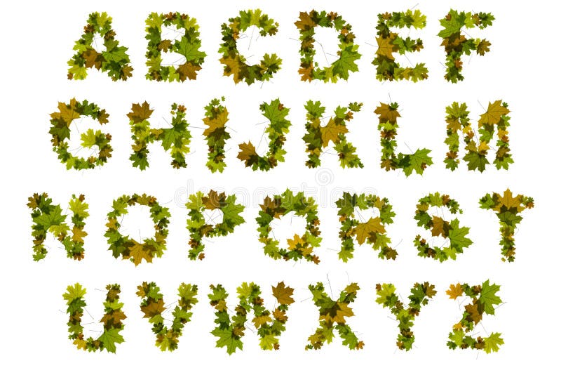Leaf letters stock image. Image of edge, leaf, design - 11149733
