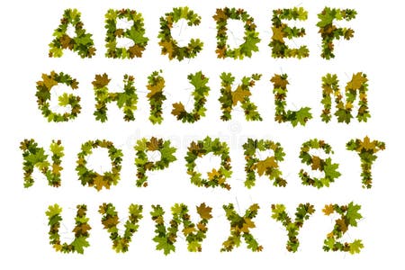 Leaf letters stock image. Image of edge, leaf, design - 11149733