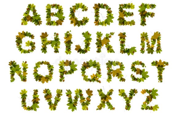 Leaf letters stock image. Image of edge, leaf, design - 11149733