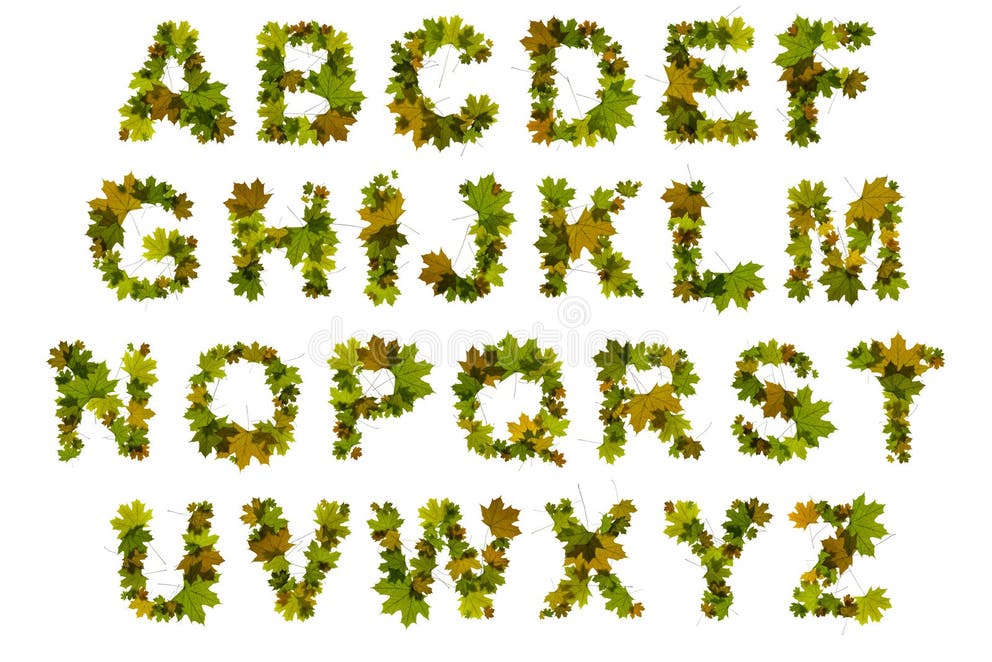 Leaf letters stock image. Image of edge, leaf, design - 11149733