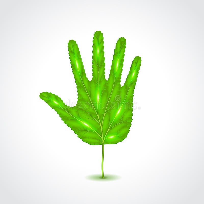 Leaf Like Human Hand Palm Vector Illustration Stock Vector ...