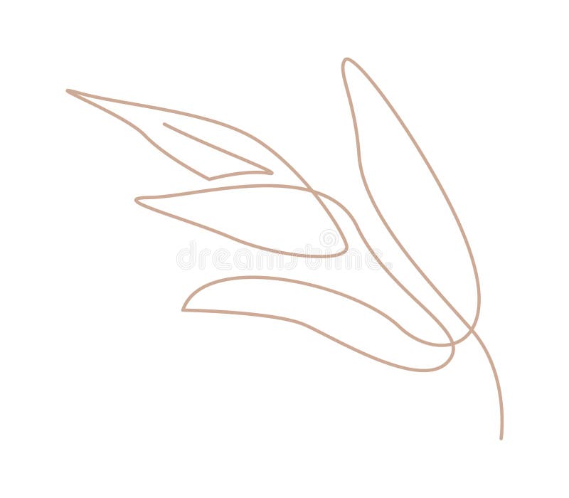 Leaf Line Art Contemporary Floral Design Stock Vector - Illustration of ...