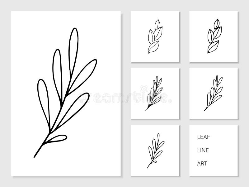 Leaf line art Hand drawn. stock vector. Illustration of floral - 242342287