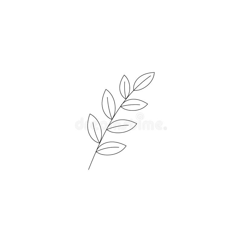Leaf Line Icon Simple Sign Symbol on White Background Stock ...