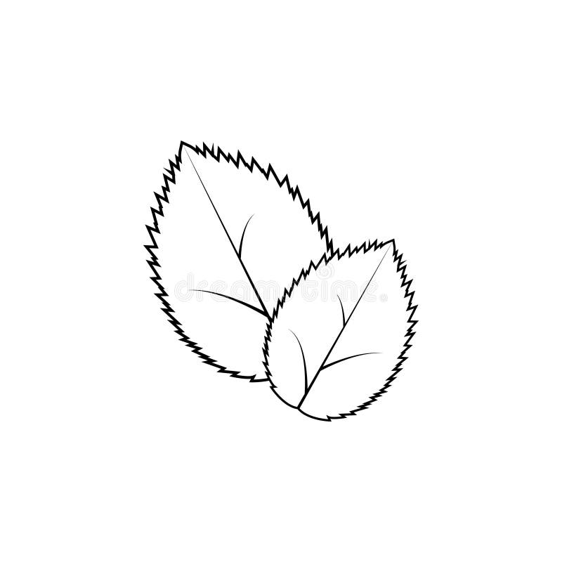 Curve Leaf Line Vector Stock Illustrations – 22,905 Curve Leaf Line ...