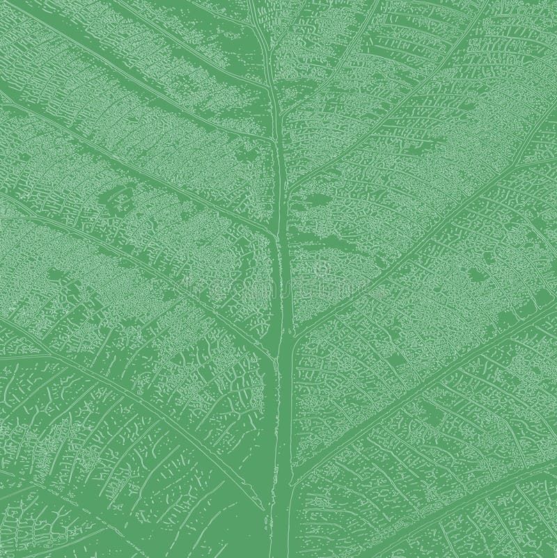 Leaf Line Patterns on Green Background for Wallpaper or Textile or ...