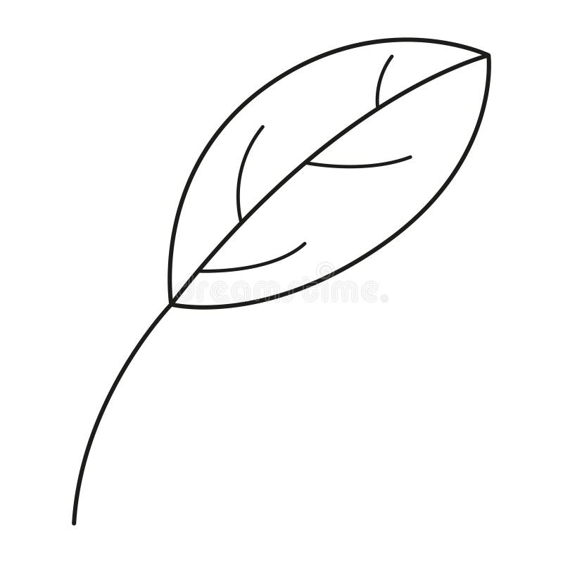 Leaf Linear Icon. Vector Leaves Logo. Black and White Autumn Leaf Stock ...