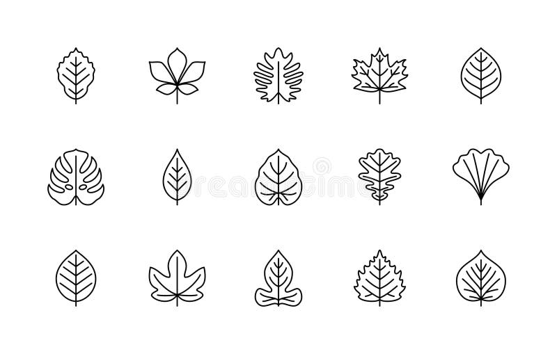 Leaf Linear Icons Vector Symbols Set. Nature Symbols. Line Icons of ...