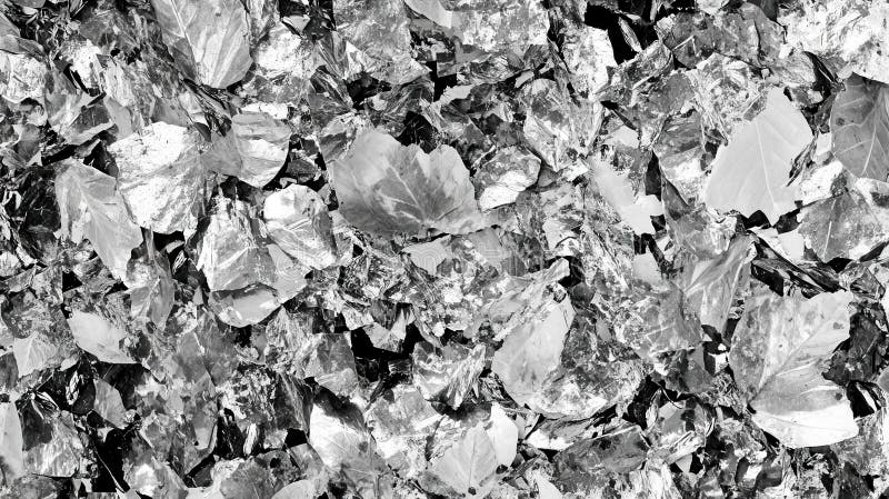 Leaf Litter, Abstract Grayscale Leaves Create Textures and Patterns, Autumn Theme Stock ...