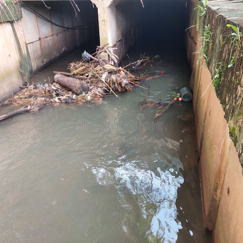 Leaf Litter and Household Waste that Clogs the River Flow Stock Image ...