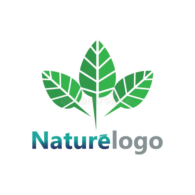 Leaf Logo Design Vector for Nature Symbol Template Editable,Green Leaf ...