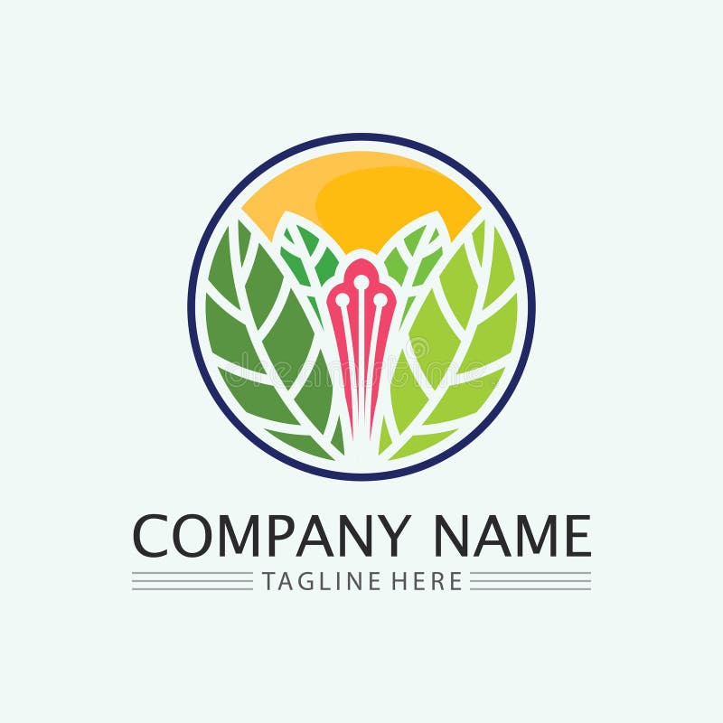 Leaf Logo Design Vector for Nature Symbol Template Editable,Green Leaf ...
