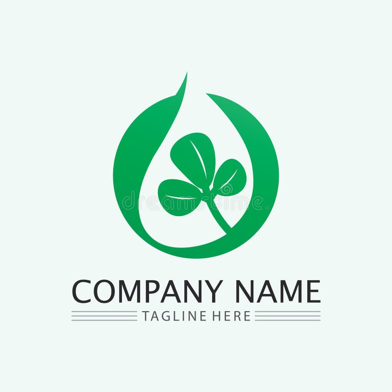 Leaf Logo Design Vector for Nature Symbol Template Editable,Green Leaf ...