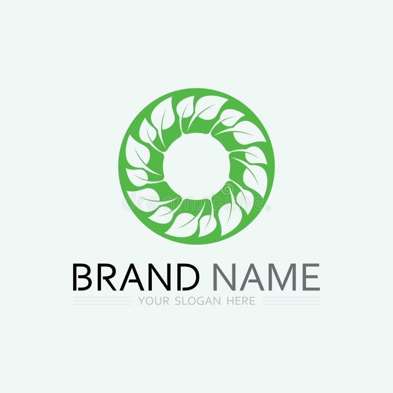 Leaf Logo Design Vector for Nature Symbol Template Editable,Green Leaf ...
