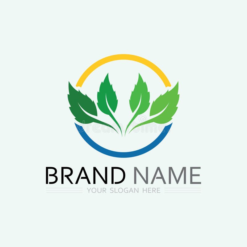 Leaf Logo Design Vector for Nature Symbol Template Editable,Green Leaf ...