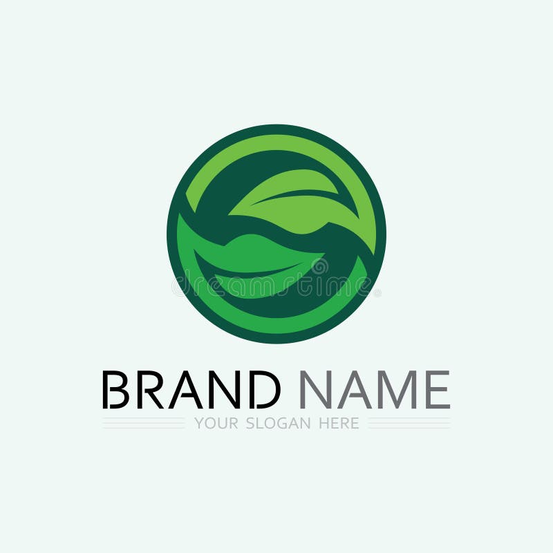 Leaf Logo Design Vector for Nature Symbol Template Editable,Green Leaf ...