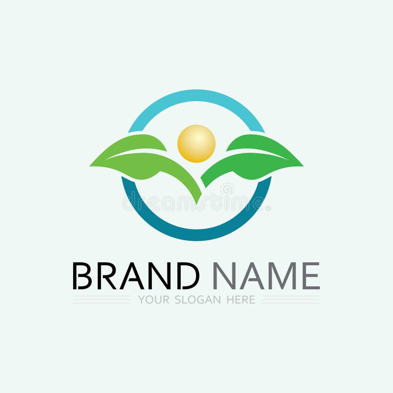 Leaf Logo Design Vector for Nature Symbol Template Editable,Green Leaf ...