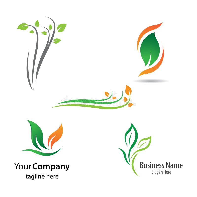 Leaf logo images stock vector. Illustration of floral - 211473824