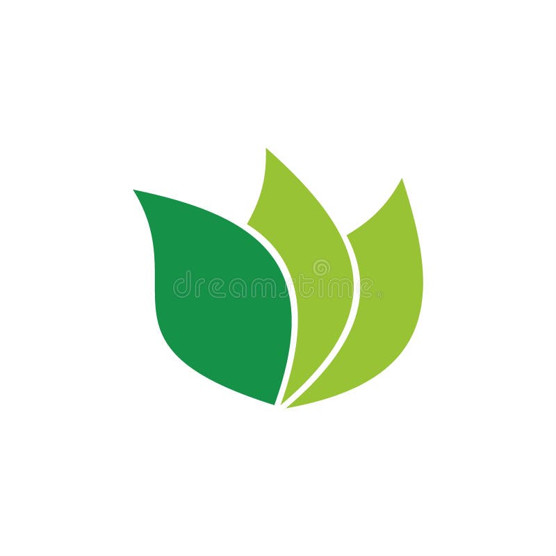 Leaf Logo Vector. Leaf Icon Stock Vector - Illustration of floral ...