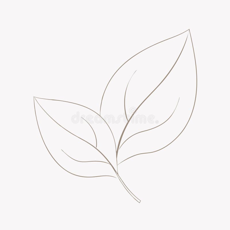 Leaf Logo Vector Illustration on White Background Stock Vector ...