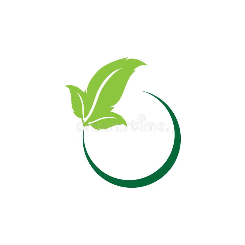 Leaf Logo Vector Template Ilustrator and Icon Design Stock Illustration ...